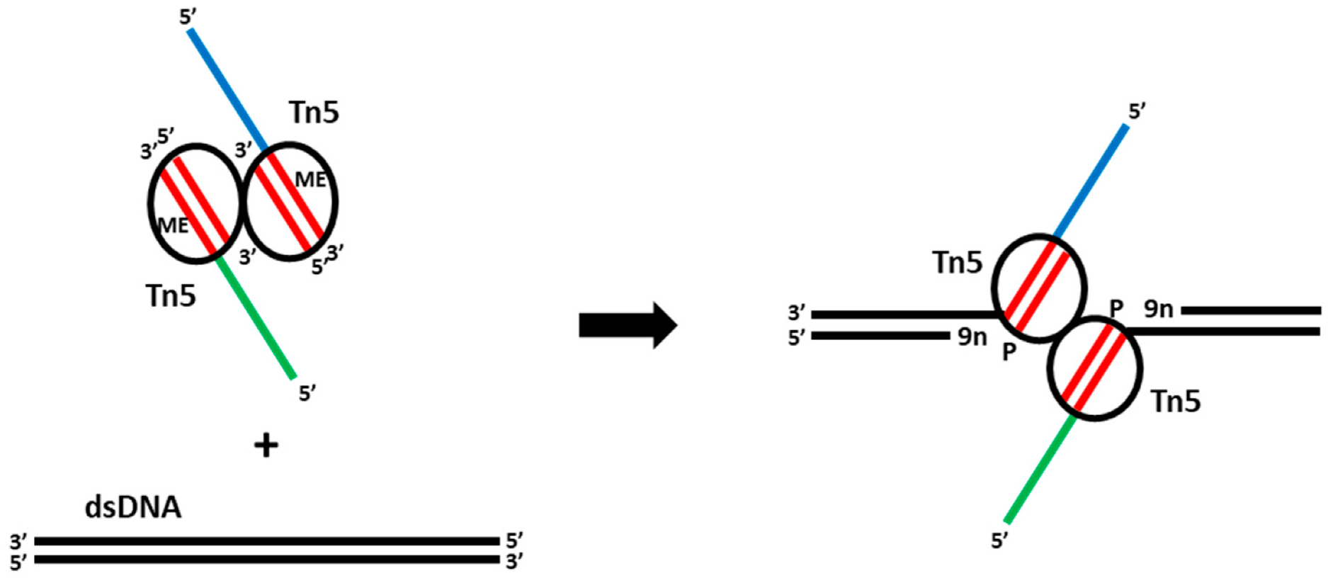 T5 Products | Axis Shield Density Gradient Media